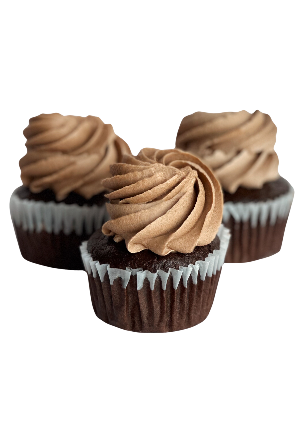 Chocolate Cupcake 6-pack Clamshell **GTA ONLY** — Sweets from the Earth